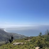 Ocean Overlook Loop, California - 1,070 Reviews, Map | AllTrails
