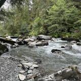 Boulder River Trail, Washington - 1,963 Reviews, Map | AllTrails