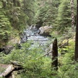 Boulder River Trail, Washington - 1,963 Reviews, Map | AllTrails