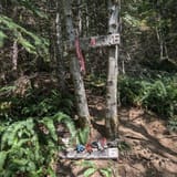 Mount Mark via Horne Lake Hustle, British Columbia, Canada - 683 ...