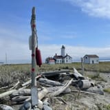 Dungeness Spit Trail, Washington - 1,715 Reviews, Map | AllTrails