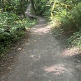 Tryon Creek Triple Bridge Loop, Oregon - 1,649 Reviews, Map | AllTrails