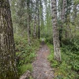 Widow Maker Trail, Alberta, Canada - 567 Reviews, Map | AllTrails