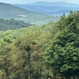 Black Ridge Trail, Virginia - 655 Reviews, Map | AllTrails