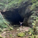 Cave River Valley Trail, Indiana - 206 Reviews, Map | AllTrails
