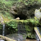 Cave River Valley Trail, Indiana - 204 Reviews, Map | AllTrails