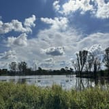 Lake Apex Circuit, Queensland, Australia - 23 Reviews, Map | AllTrails