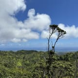 Pupukea Summit Trail, Oahu, Hawaii - 144 Reviews, Map | AllTrails