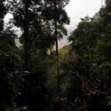 Mount Lambak, Johor, Malaysia - 222 Reviews, Map | AllTrails