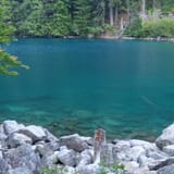 Lindeman Lake Trail, British Columbia, Canada - 2,301 Reviews, Map ...