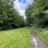 Gilwern and Clydach Circular, Powys, Wales - 194 Reviews, Map | AllTrails