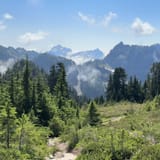 Mount Forgotten Meadows Trail, Washington - 353 Reviews, Map | AllTrails