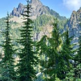 Mount Forgotten Meadows Trail, Washington - 353 Reviews, Map | AllTrails