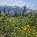 Huntoon Point via Artist Ridge Trail, Washington - 846 Reviews, Map ...