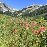 Spider Meadow via Phelps Creek Trail, Washington - 322 Reviews, Map ...