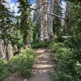 Alpine Pond Trail, Utah - 826 Reviews, Map | AllTrails