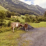 Stäubifall Waterfall, Uri, Switzerland - 83 Reviews, Map | AllTrails