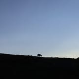 Burroughs Mountain Loop Trail, Washington - 2,388 Reviews, Map | AllTrails