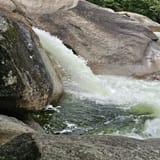 Franconia Falls Trail, New Hampshire - 1,886 Reviews, Map | AllTrails
