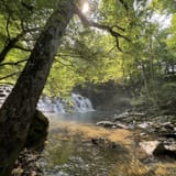 Rutledge Falls Trail, Tennessee - 666 Reviews, Map | AllTrails