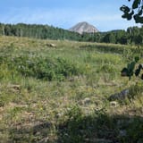 Engineer Mountain Trail, Colorado - 346 Reviews, Map | AllTrails