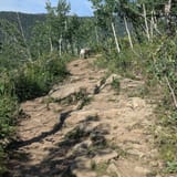 Engineer Mountain Trail, Colorado - 346 Reviews, Map | AllTrails
