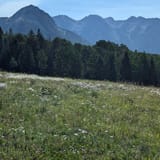 Engineer Mountain Trail, Colorado - 346 Reviews, Map | AllTrails