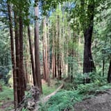Fern Creek, Lost, and Canopy Trail Loop, California - 2,911 Reviews ...