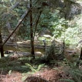 Fern Creek, Lost, and Canopy Trail Loop, California - 2,911 Reviews ...
