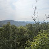 Lewis Spring Falls Trail, Virginia - 1,546 Reviews, Map | AllTrails