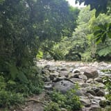 Angelito Trail, East Region, Puerto Rico - 656 Reviews, Map | AllTrails