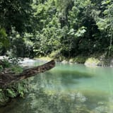 Angelito Trail, East Region, Puerto Rico - 656 Reviews, Map | AllTrails