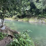 Angelito Trail, East Region, Puerto Rico - 656 Reviews, Map | AllTrails