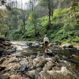 Multnomah Falls Trail, Oregon - 7,782 Reviews, Map | AllTrails