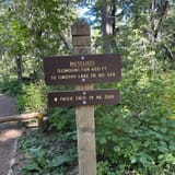 Timothy Lake Loop, Oregon - 290 Reviews, Map | AllTrails