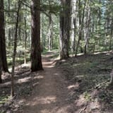 Timothy Lake Loop, Oregon - 290 Reviews, Map | AllTrails