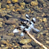 Nolte State Park Deep Lake, Washington - 609 Reviews, Map | AllTrails