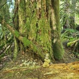 Nolte State Park Deep Lake, Washington - 609 Reviews, Map | AllTrails
