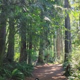 Nolte State Park Deep Lake, Washington - 609 Reviews, Map | AllTrails