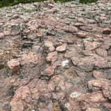 Devil's Honeycomb Trail , Missouri - 778 Reviews, Map | AllTrails