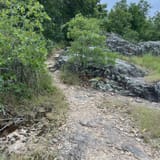 Devil's Honeycomb Trail , Missouri - 826 Reviews, Map | AllTrails