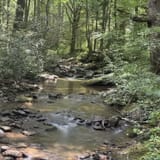 DeSoto Falls Trail, Georgia - 1,850 Reviews, Map | AllTrails