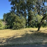 Magnuson Park Waterfront Trail, Washington - 356 Reviews, Map | AllTrails