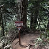 Natural Bridges Viewpoint Trail, Oregon - 892 Reviews, Map | AllTrails