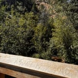 Seven Bridges Trail, Colorado - 8,187 Reviews, Map | AllTrails