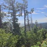Cheyenne Mountain via Talon and Dixon Trail, Colorado - 819 Reviews ...