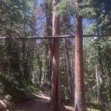 Spruce Creek Loop, Colorado - 1,915 Reviews, Map | AllTrails