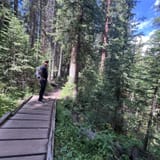 Spruce Creek Loop, Colorado - 1,915 Reviews, Map | AllTrails