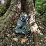 Judd Trail, Oahu, Hawaii - 2,844 Reviews, Map | AllTrails