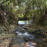 Judd Trail, Oahu, Hawaii - 2,844 Reviews, Map | AllTrails